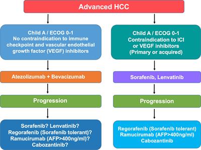 Frontiers | Cabozantinib for HCC Treatment, From Clinical Back to Experimental Models